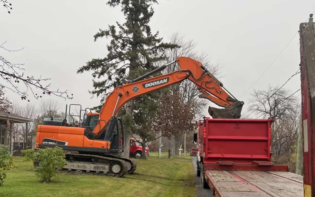 McKinley Beach Community Notice - Tree Removal & Replacement - McKinley ...